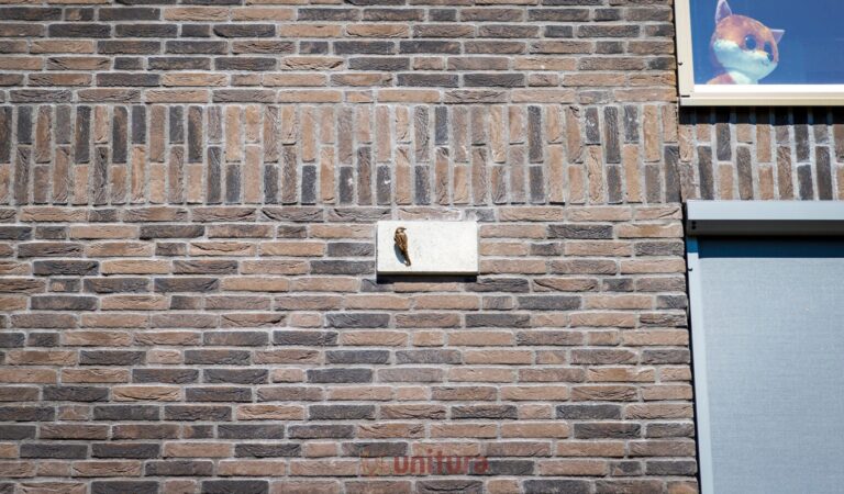 Over de kennisbank - NKNB